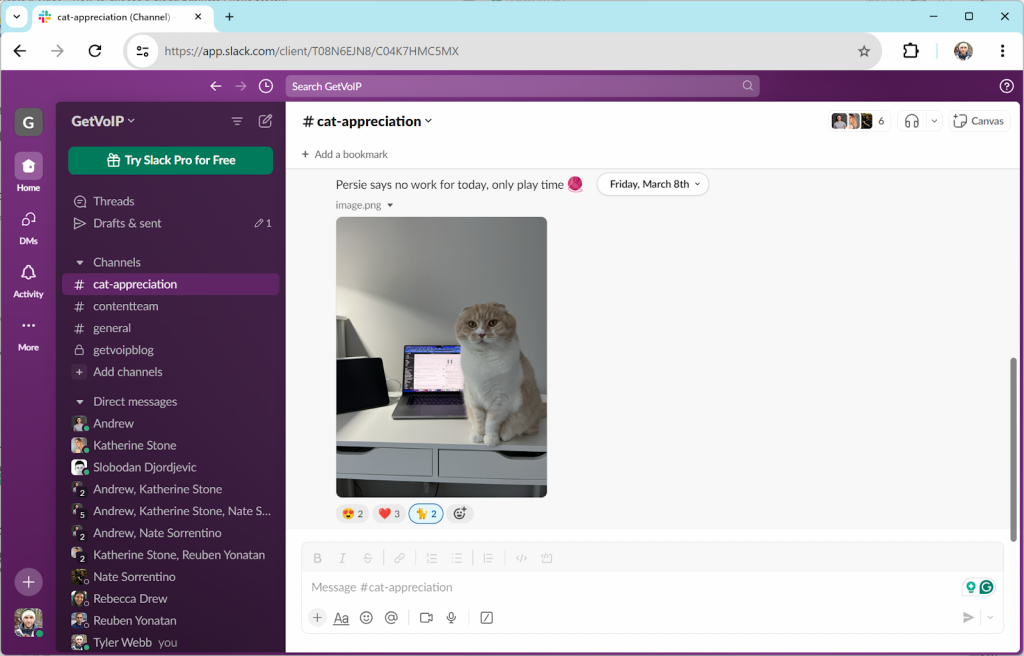 9 Best Team Collaboration Tools for 2025