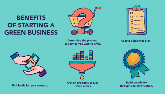 55+ Sustainable Business Ideas You Can Start Today