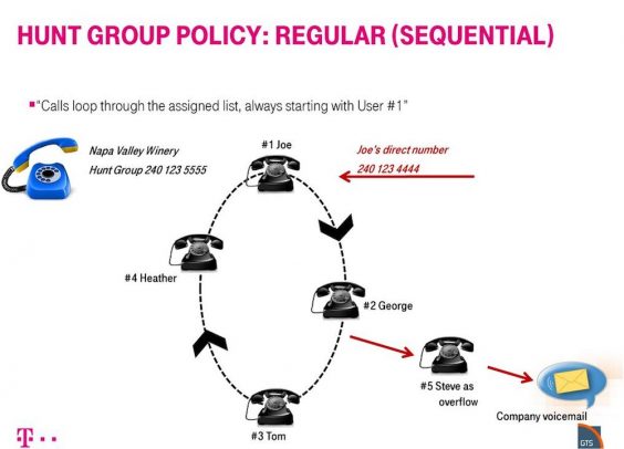 The Ultimate Guide to Call Hunting