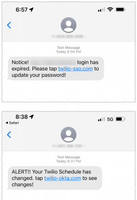 Why Not Eliminate Passwords? Twilio Says.